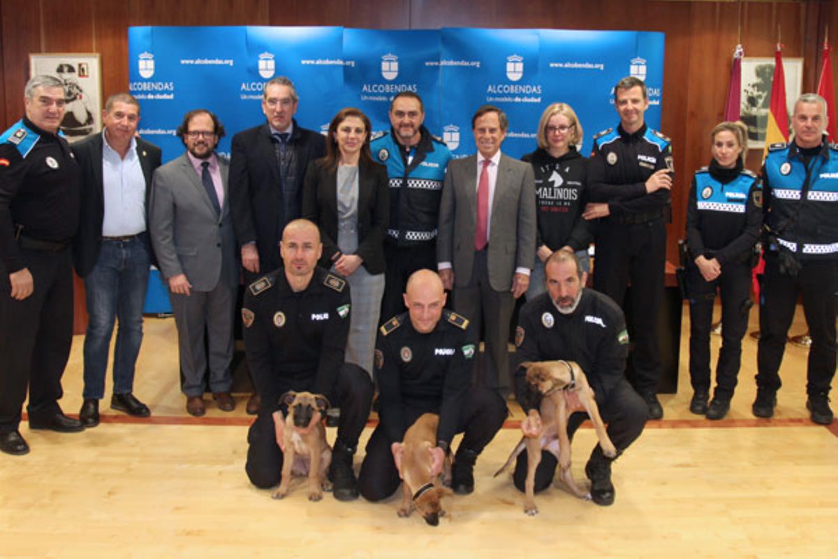 Los cachorros de la Unidad Canina, cedidos a Granada | SoyDe