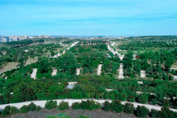 Rebautizado el Parque Forestal Valdebebas-Felipe VI | SoyDe