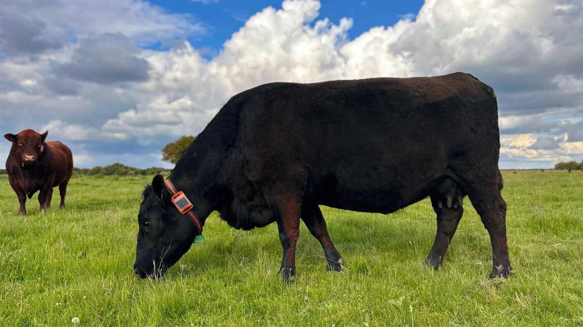 Agromad San Isidro productos madrileños | SoyDe