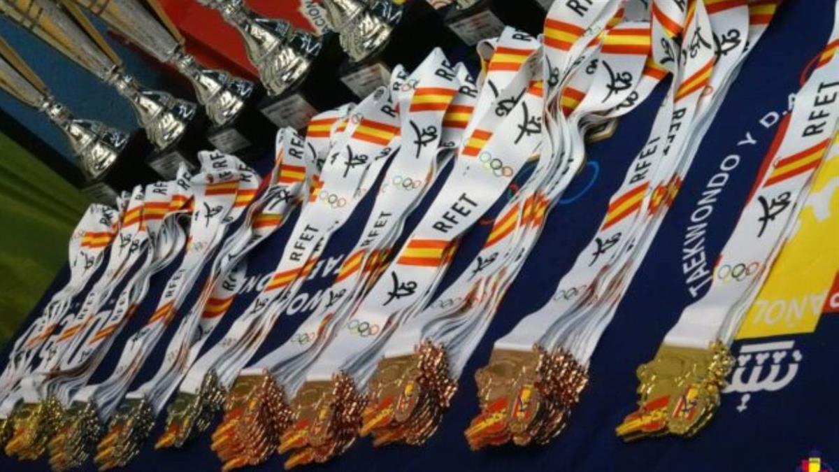 Club Hankuk arrasa en el Campeonato de España | SoyDe