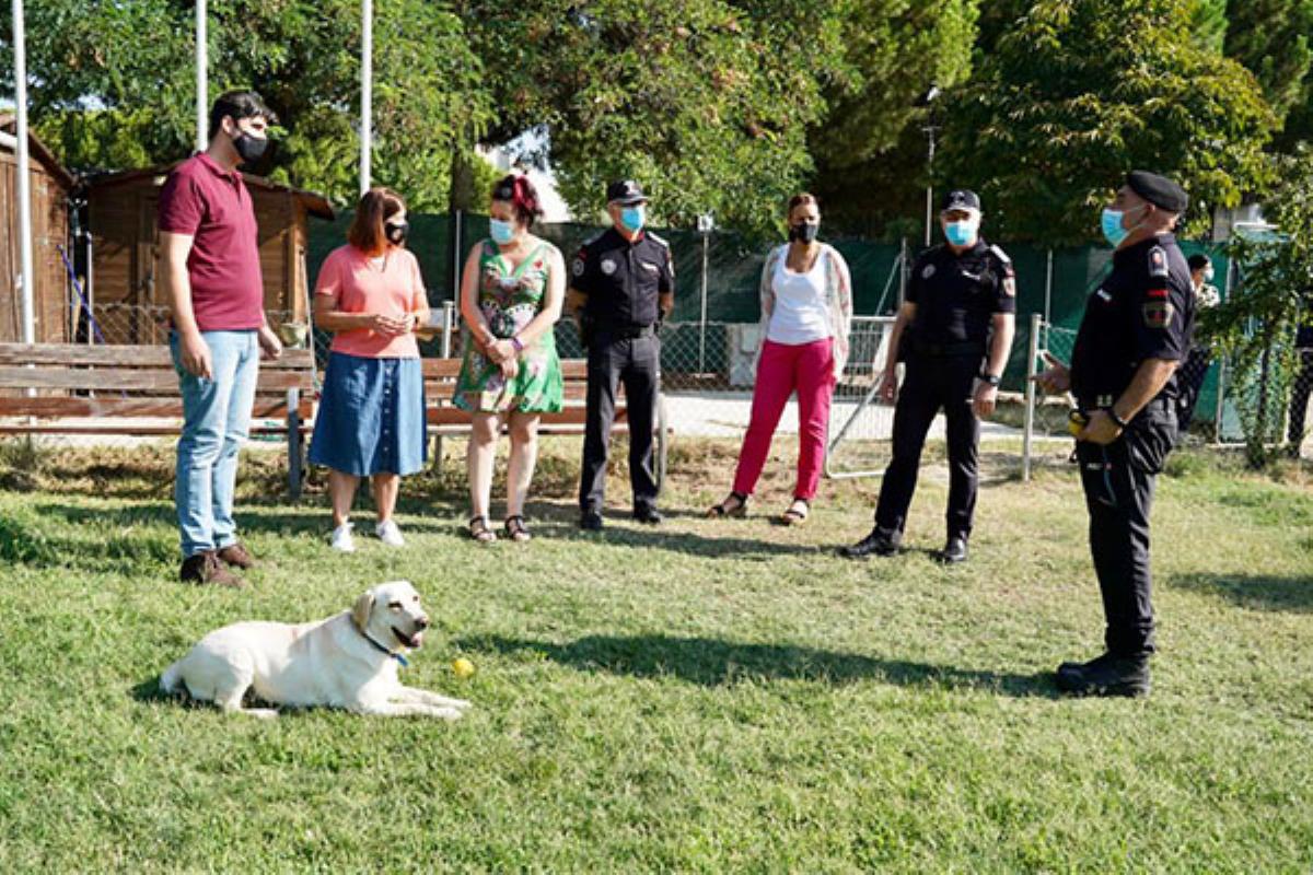 El buen olfato de la Unidad Canina de Mostoles, a la cabeza de las patrullas españolas | SoyDe